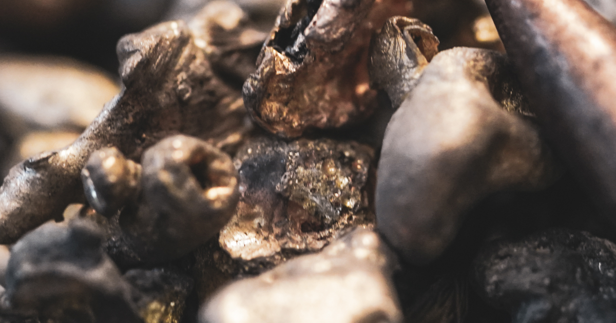 TrAsh or Treasure? The Circular Promise of Dry Ash Management | Magaldi